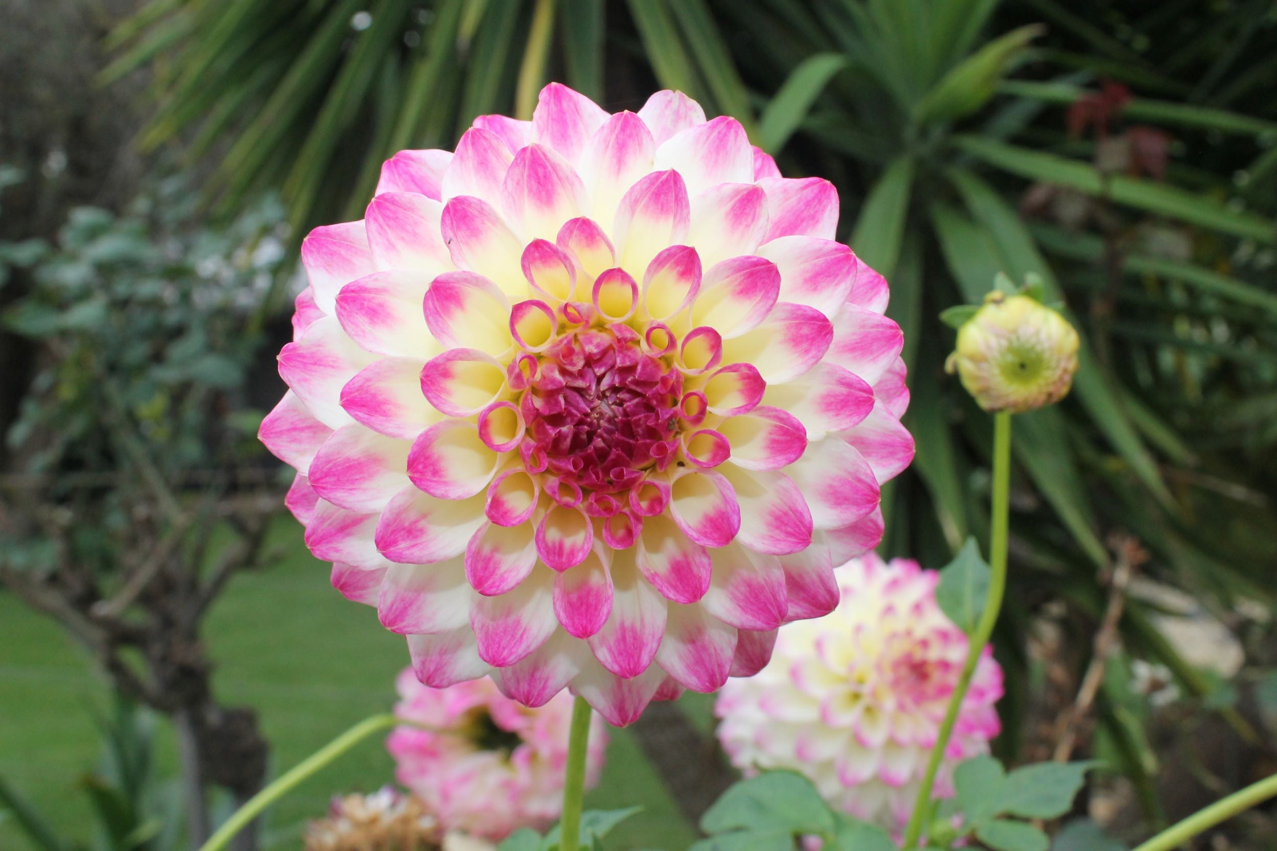 Formby Art – The Olde Creamery