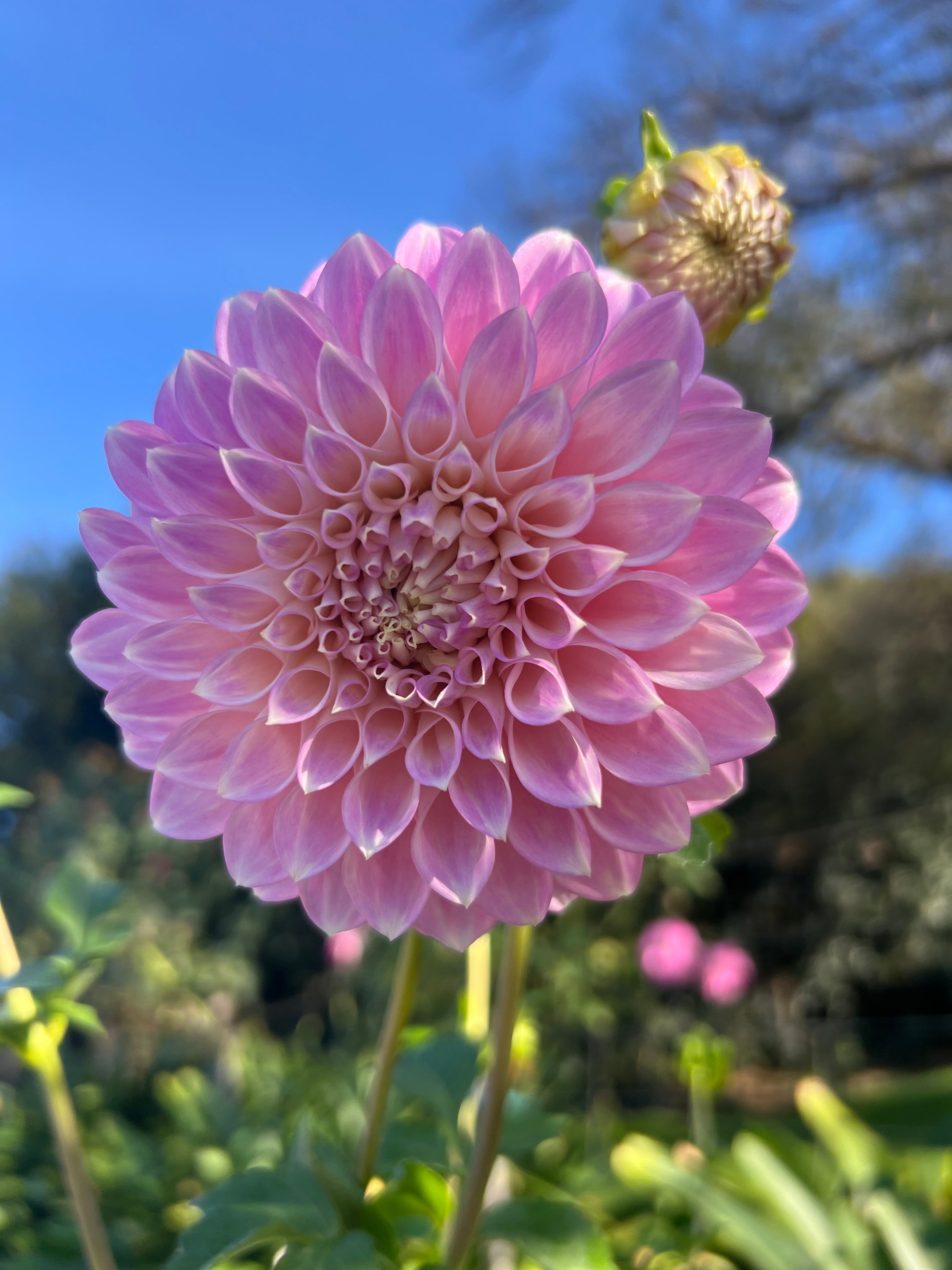 Devon Seattle – The Olde Creamery